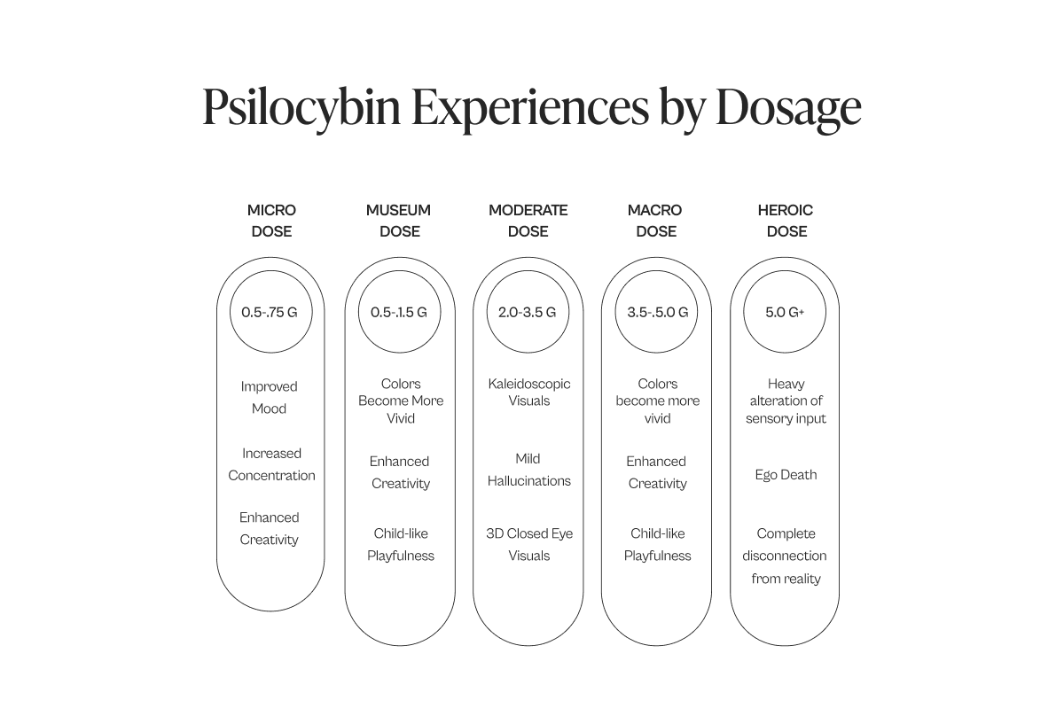 What is Microdosing?